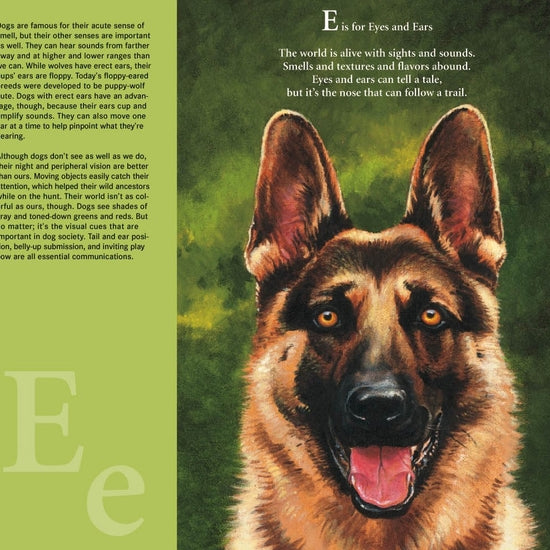 W is for Woof Children’s Book– Horse Country Trading Company